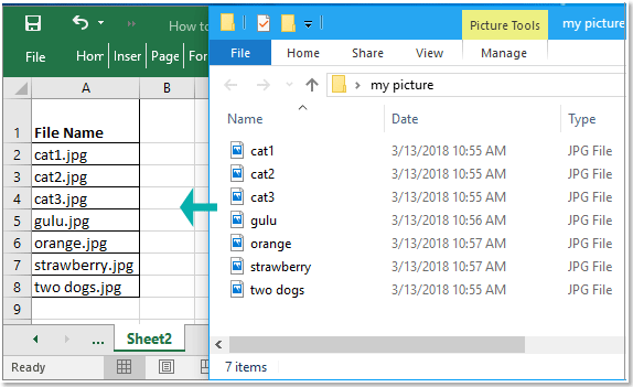 How To Quickly List The Picture Names file Names Of A Folder To Excel 