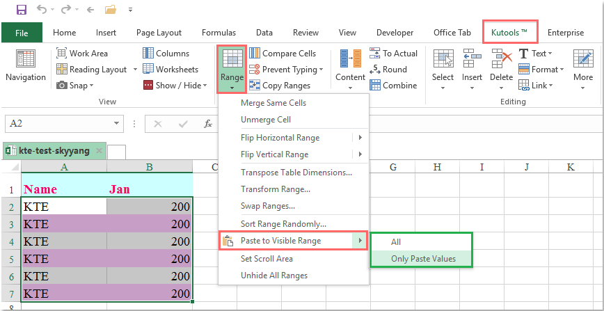 How To Paste Data Into Filtered List Only Skipping Rows In Excel 